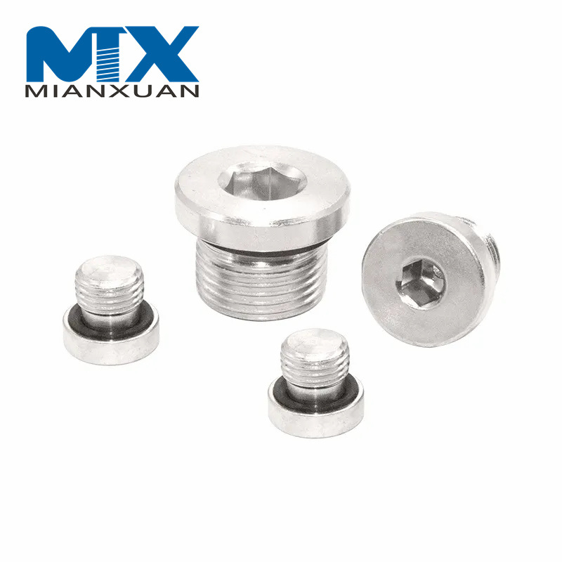 Hexagon Socket Head Flange Insert Plug