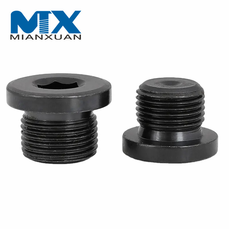 Hexagon Socket Head Flange Insert Plug