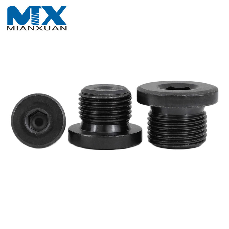 M10 M12 M16 Stainless Steel A2 A4 Hex Socket Screw Plug DIN908