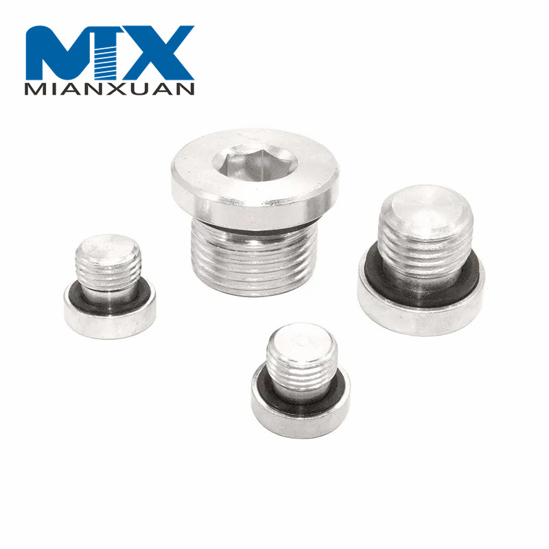 Hexagon Socket Head Flange Insert Plug