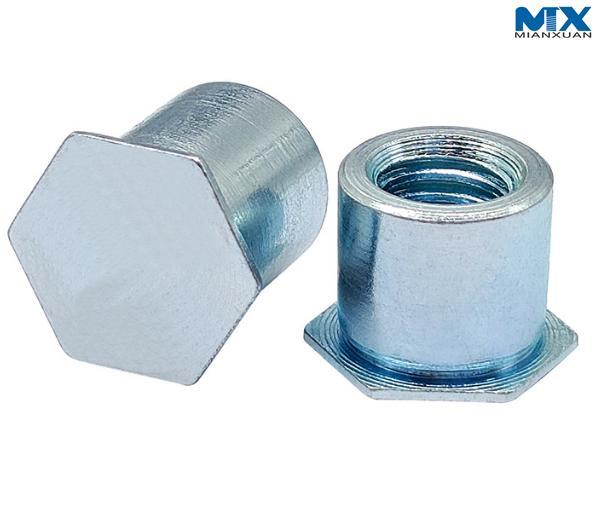 Hex Head Rivet Nuts for Auto